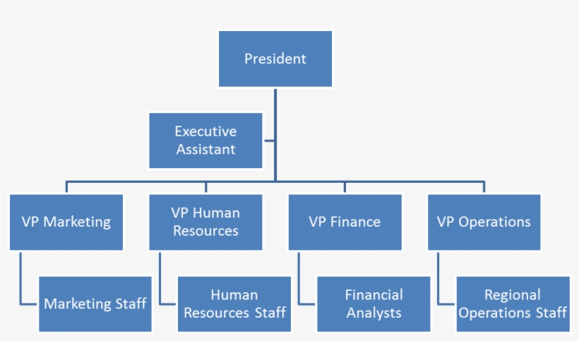 Types of organization structures and charts in the office - Globopoint ...