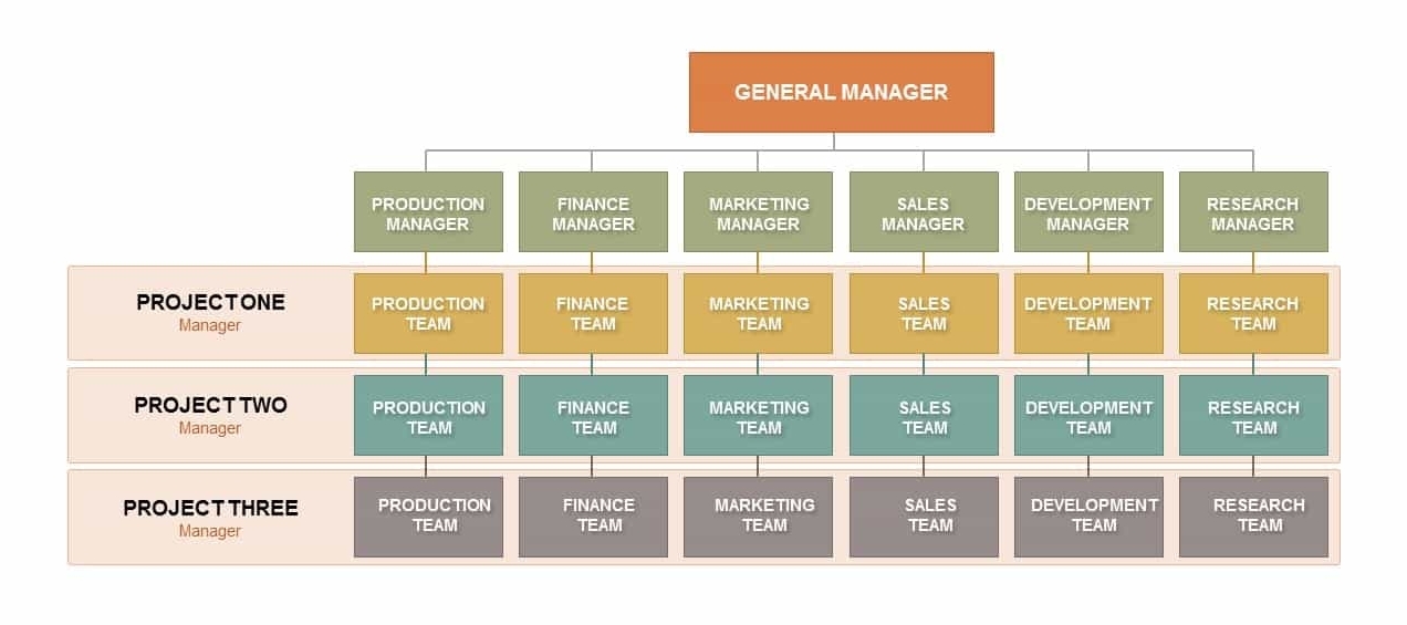 Types of organization structures and charts in the office - Globopoint ...